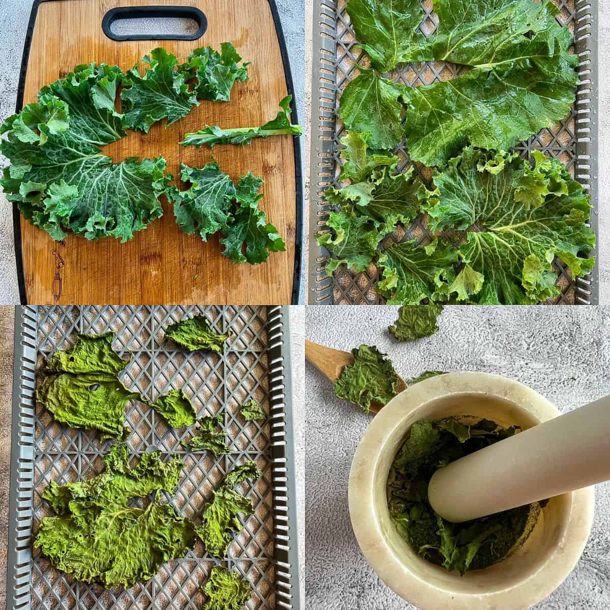 Kale Powder Recipe - Curious Flavors