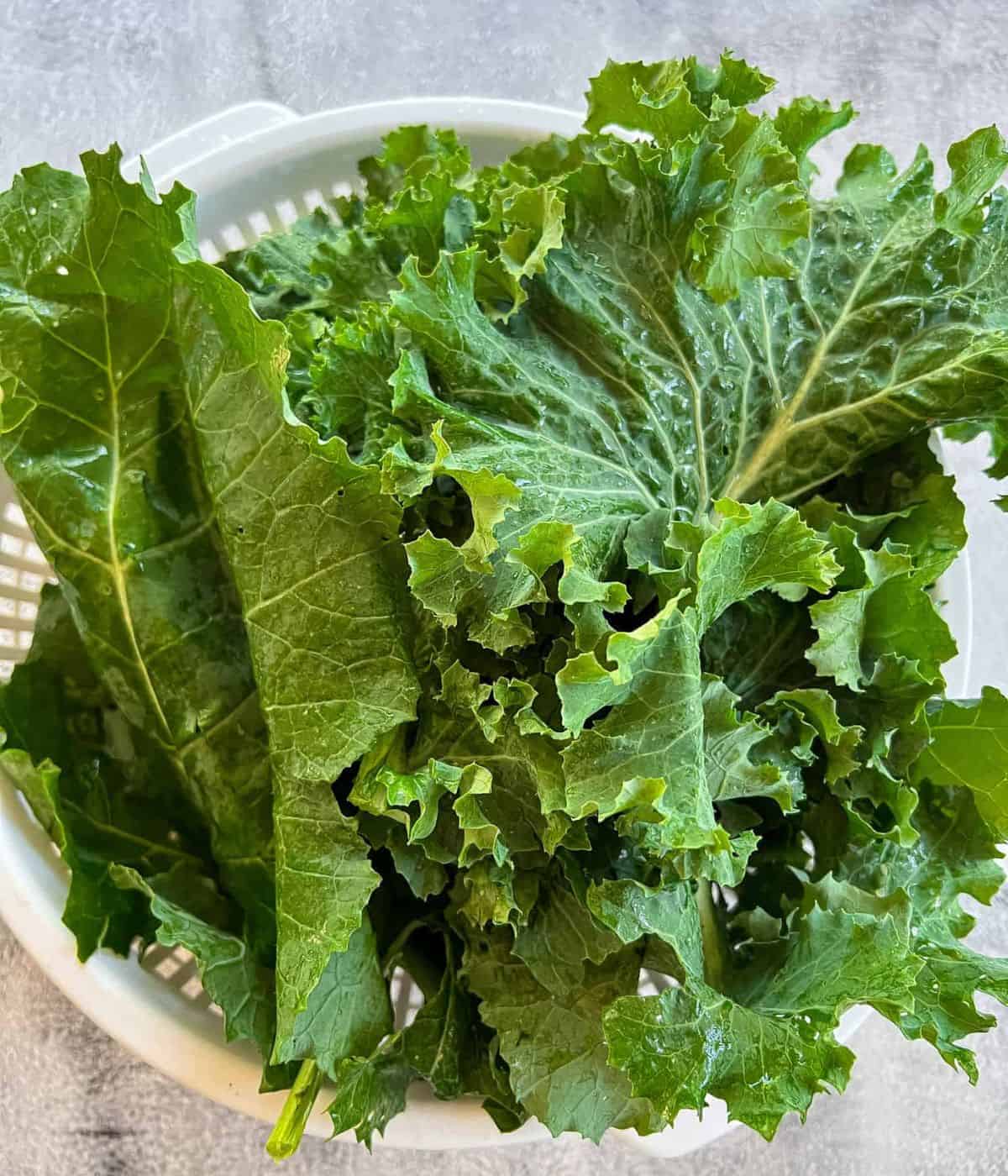 Kale Powder Recipe - Curious Flavors
